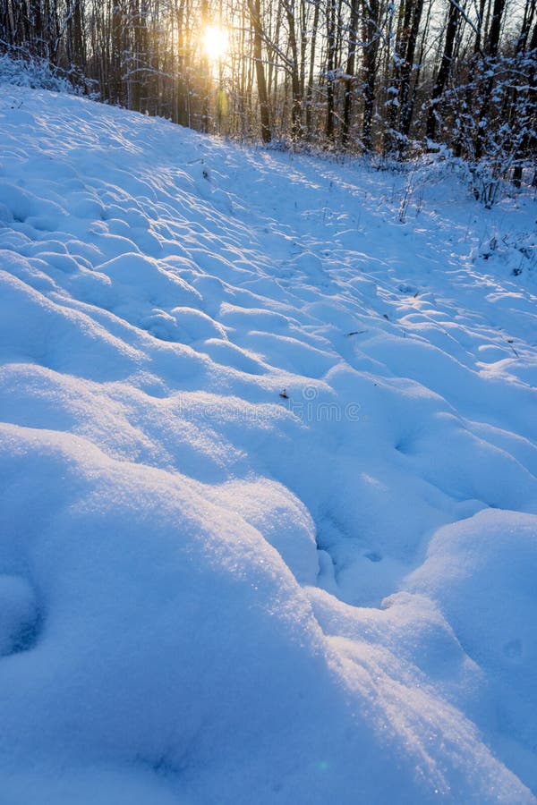 Sunset on a Meadow Covered by Snow on the Forest Edge Stock Photo ...