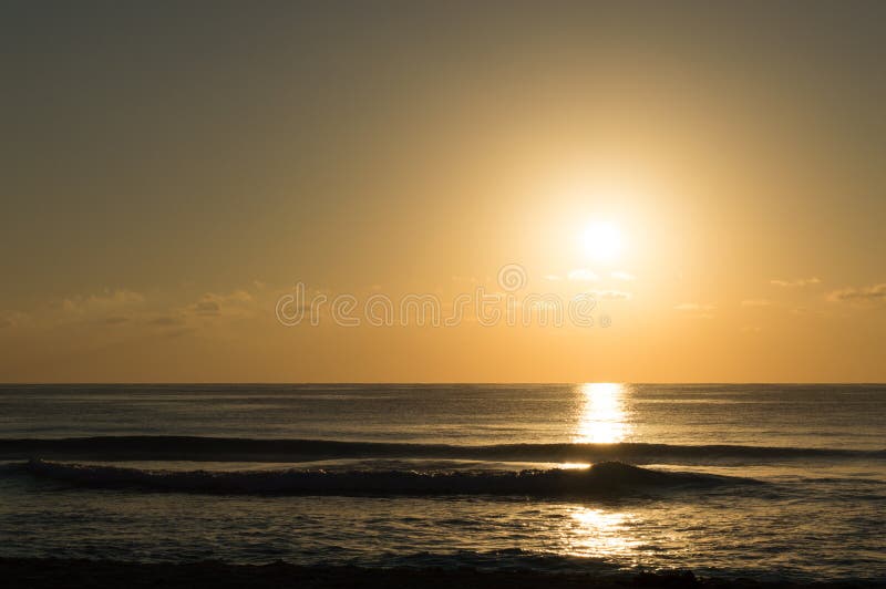 Sunset. Mexico. stock image. Image of plants, beach - 100206983
