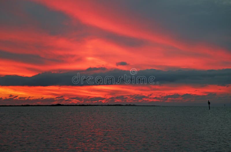 Red sky and birds stock image. Image of natural, beach - 154436327