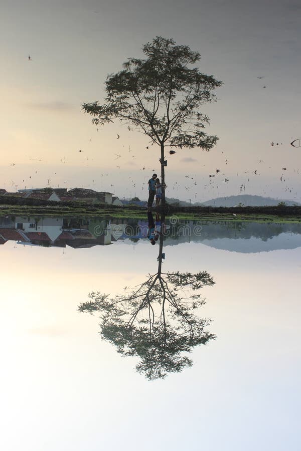 Sunset Mirror with Beautiful Rice Fields Stock Photo - Image of snow ...