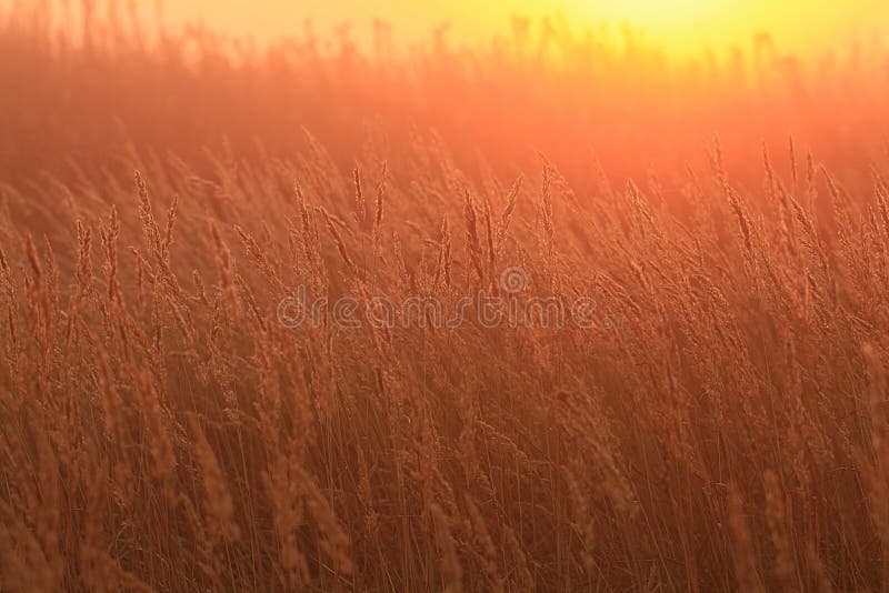 Sunset mist stock photo. Image of dawn, light, environment - 57229932