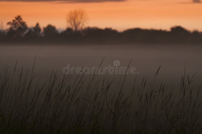 Sunset Mist stock photo. Image of sundown, mist, field - 31710690