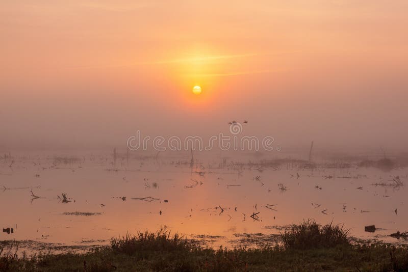 Sunset in the Mist Over the Lake from the Beach Stock Photo - Image of ...