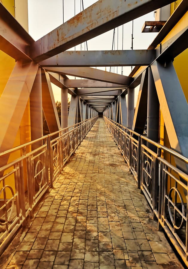 Jennielfi - Photographer profile