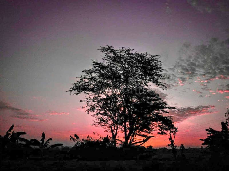 Sunset Mood Tree Sky Village Stock Image - Image of mood, evening ...