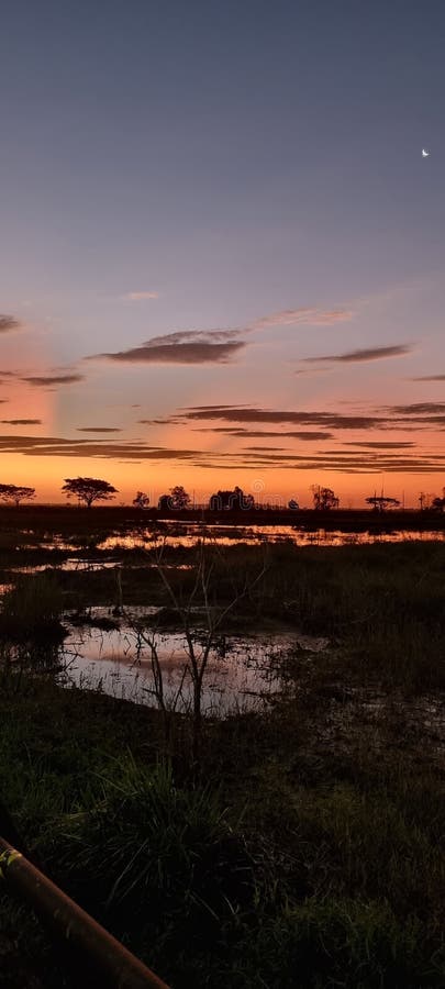 Sunset and moon stock photo. Image of beautiful, entardecer - 246687748