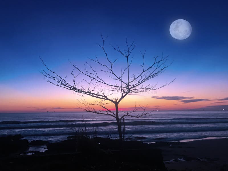 Sunset and moon stock image. Image of light, dusk, horizon - 102313321
