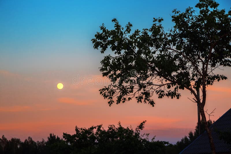 Sunset, moon, tree stock photo. Image of evening, backlight - 74488028