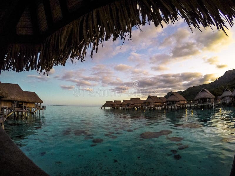 Sunset in Moorea, Polynesia. Stock Photo - Image of destination, luxury ...