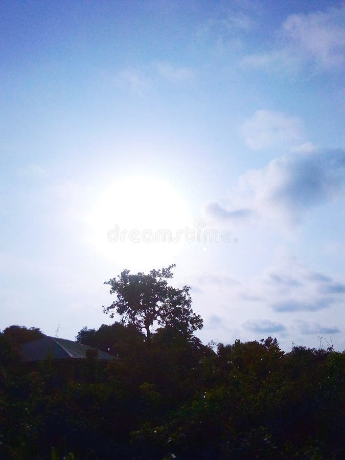 Sunset Morning Skyshade Tree Blue Sky Printout Stock Image - Image of ...