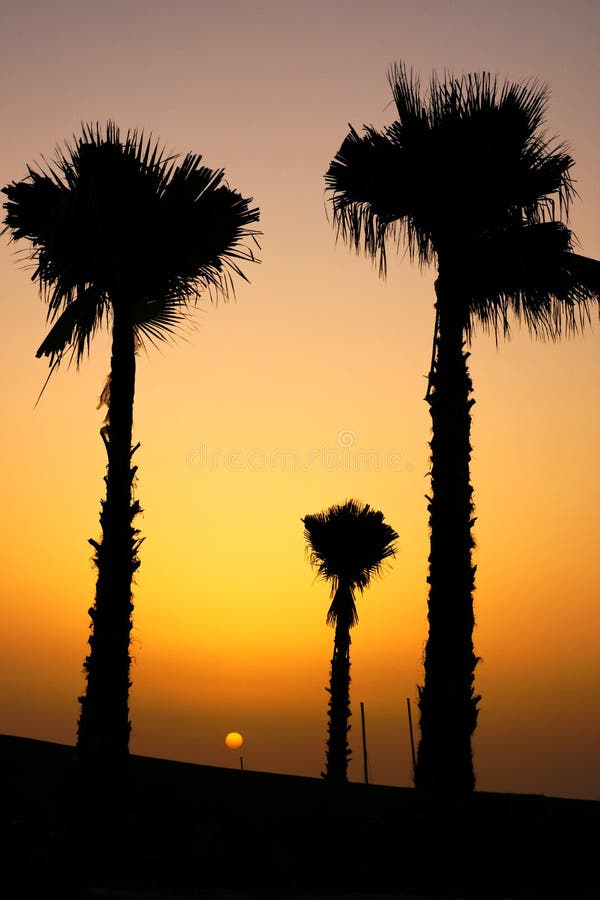 Sunset in Morocco stock photo. Image of sunset, color - 11315792