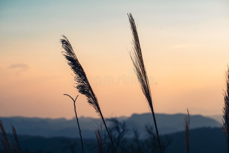 Sunset-Mountain in the Evening Mountains and Evening Nature Stock Image ...