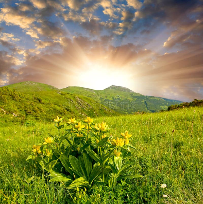 Sunset in mountains stock photo. Image of light, nice - 10777358