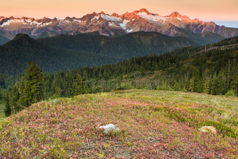 Stream in the Mountains Elbrus Stock Photo - Image of area, landscape ...