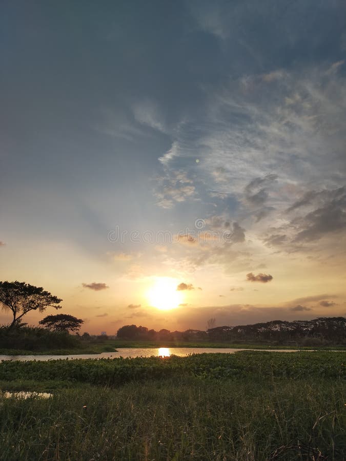 Sunset in my backyard stock image. Image of nature, sunset - 236116291