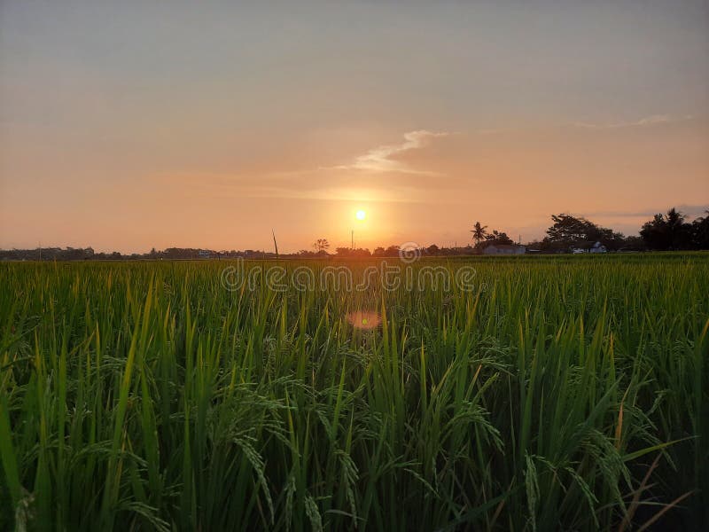 Sunset at My City in Early January Stock Image - Image of ...
