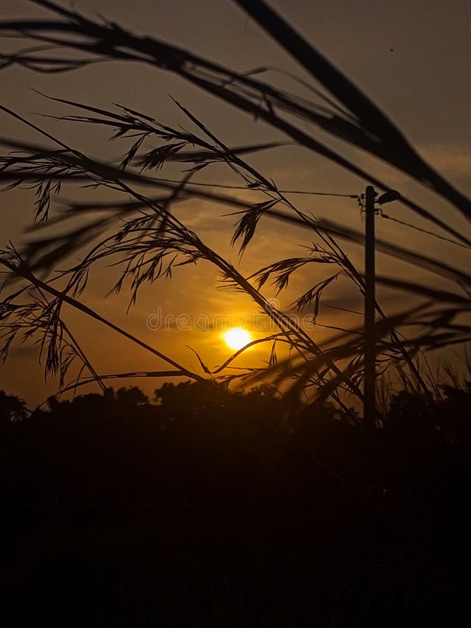 SUNSET at MY HOME SHOT on PHONE INFINIX Stock Photo - Image of phone ...