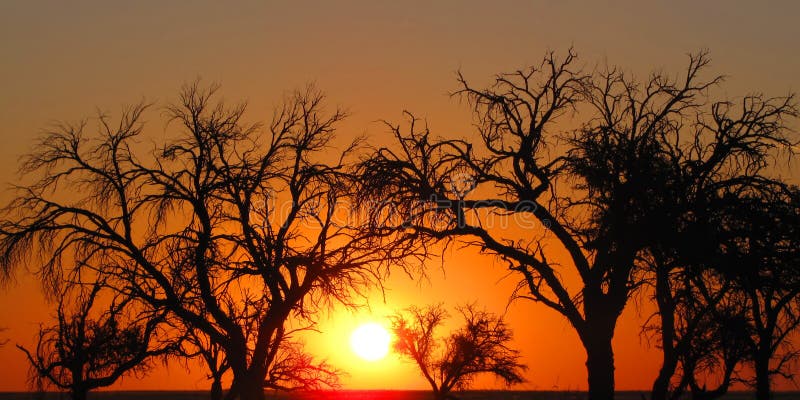 Sunset in Namibia stock photo. Image of dusk, landscape - 11842146