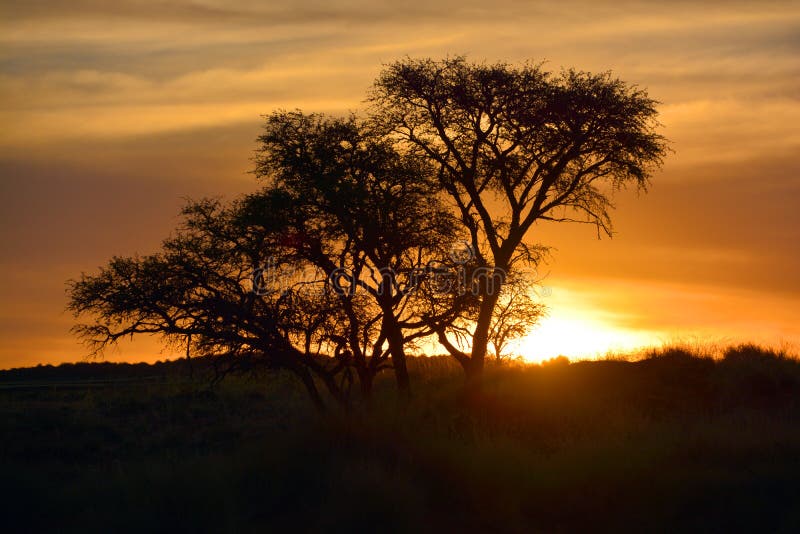 Sunset in Namibia in Namib-Naukluft National Park Stock Image - Image ...