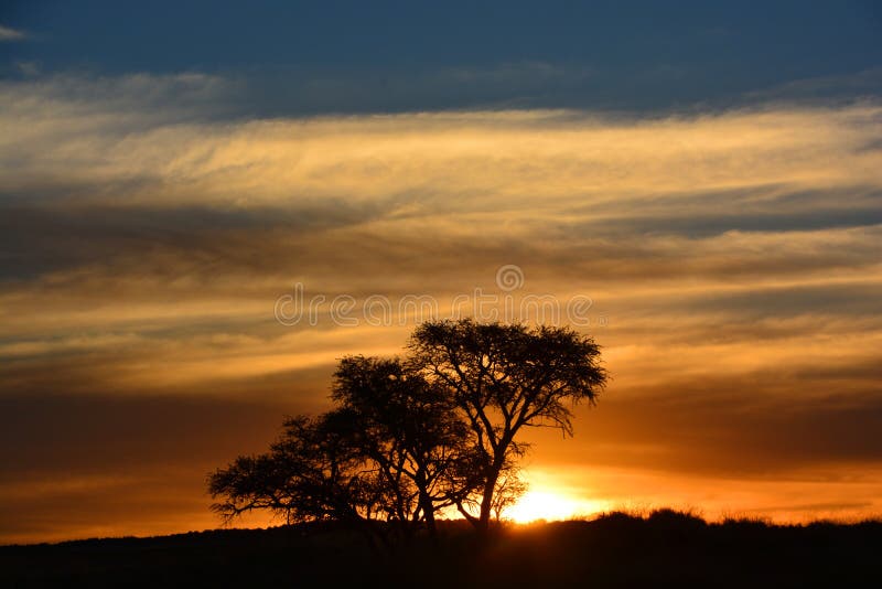 Sunset in Namibia stock photo. Image of park, scenery - 45960376