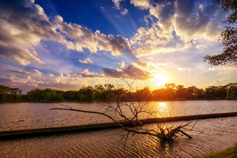 Sunset at National Lake Park with Silhouette Dry Tree on Foreground ...