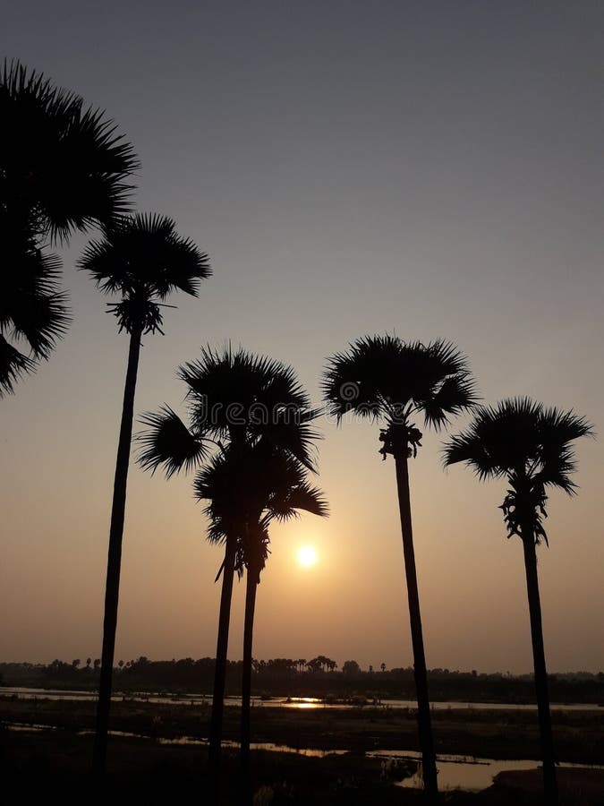 Sunset natural beauty stock photo. Image of villagers - 127291534