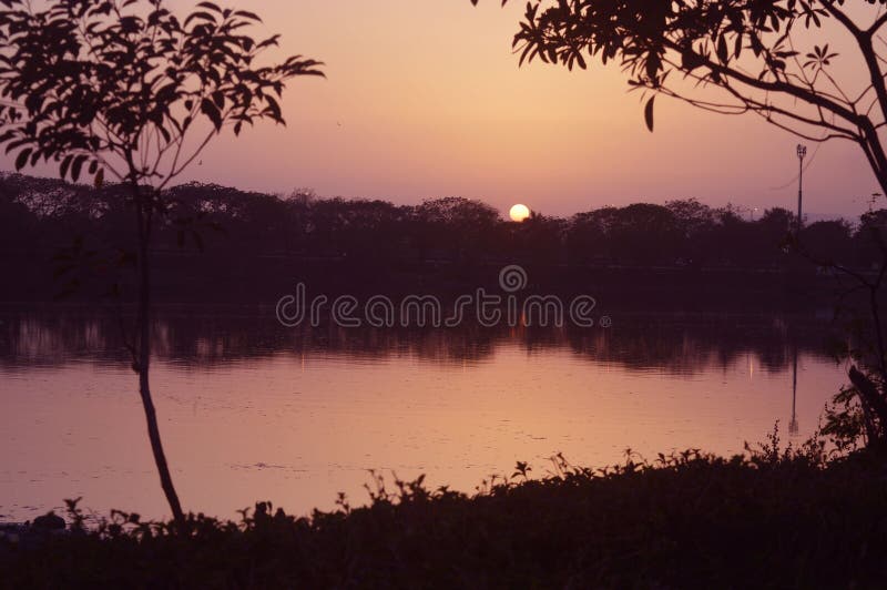 Sunset stock image. Image of lake, tree, sunset, nature - 142088315