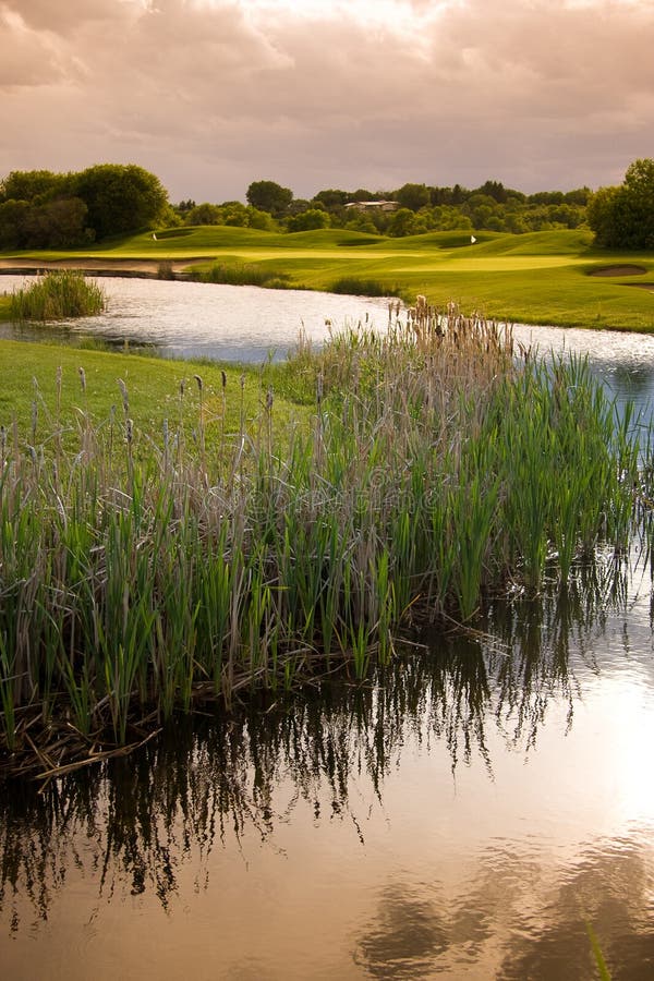 Sunset near Golf Course stock image. Image of landscape - 9222273