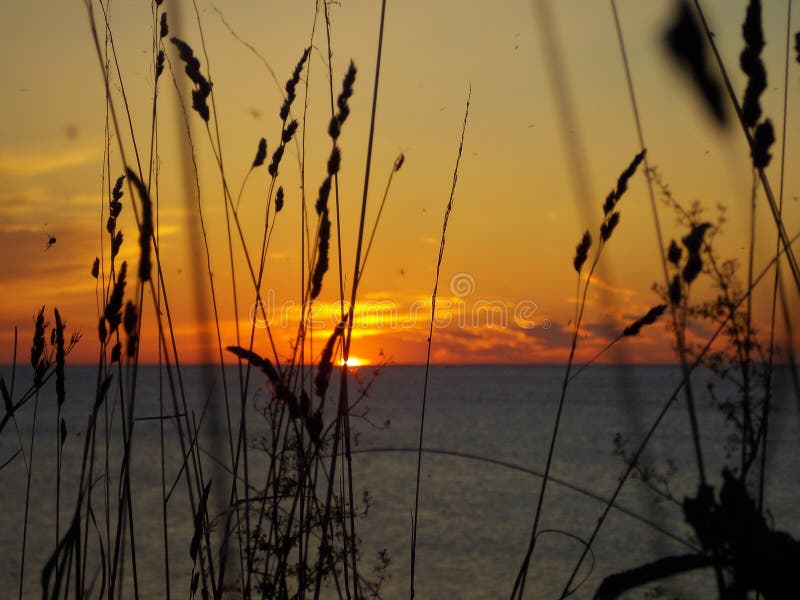 Sunset Near the Ocean with Grass Stock Image - Image of ocean, sunset ...
