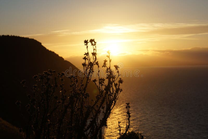 Sunset in Nelson New Zealand Stock Image - Image of ocean, nelson ...