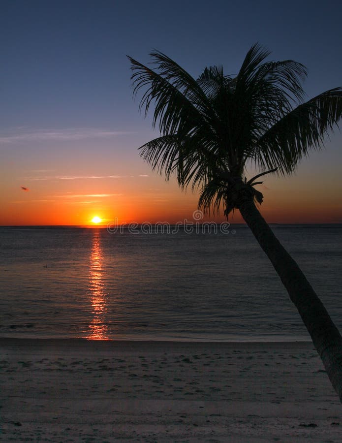 Nembrala Stock Photos - Free & Royalty-Free Stock Photos from Dreamstime