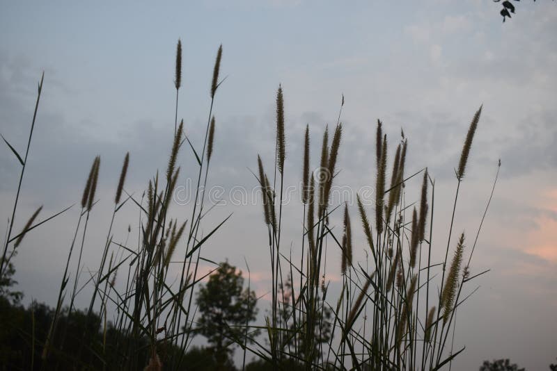 Nice Sky Line when the Sun Go Down Sunset at My Home Stock Image ...