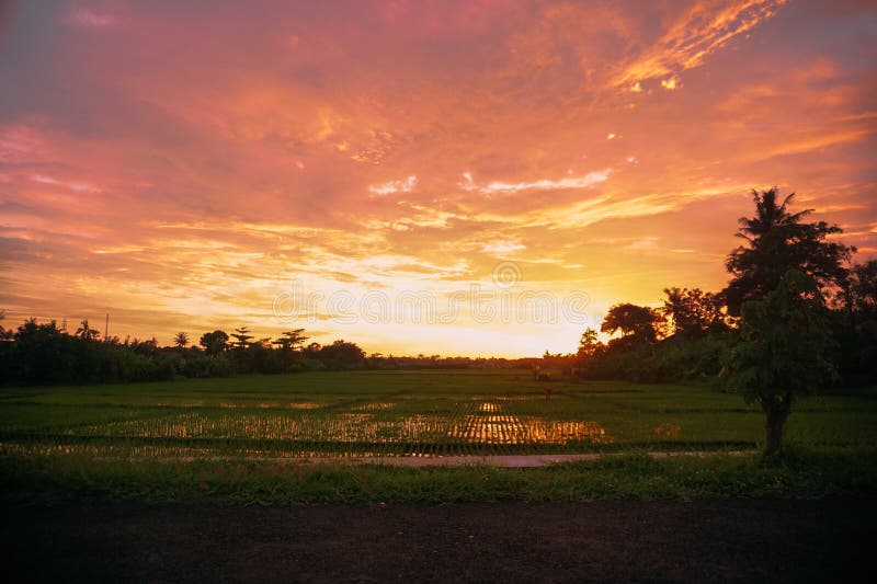 Sunset stock image. Image of thinking, life, time, sunset - 379223327