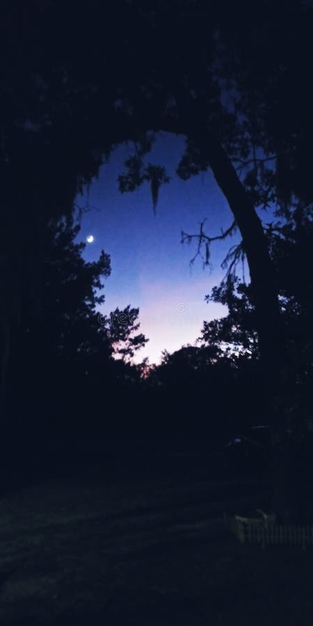 Sunset and Night Views from Our Yard Stock Image - Image of night ...