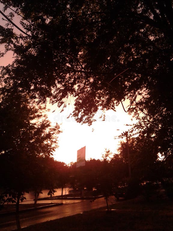 Sunset , no filter stock image. Image of trees, filter - 97025499