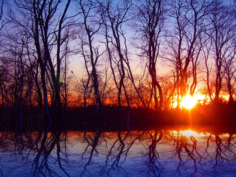 Sunset in november stock image. Image of sunrise, sunset - 312287