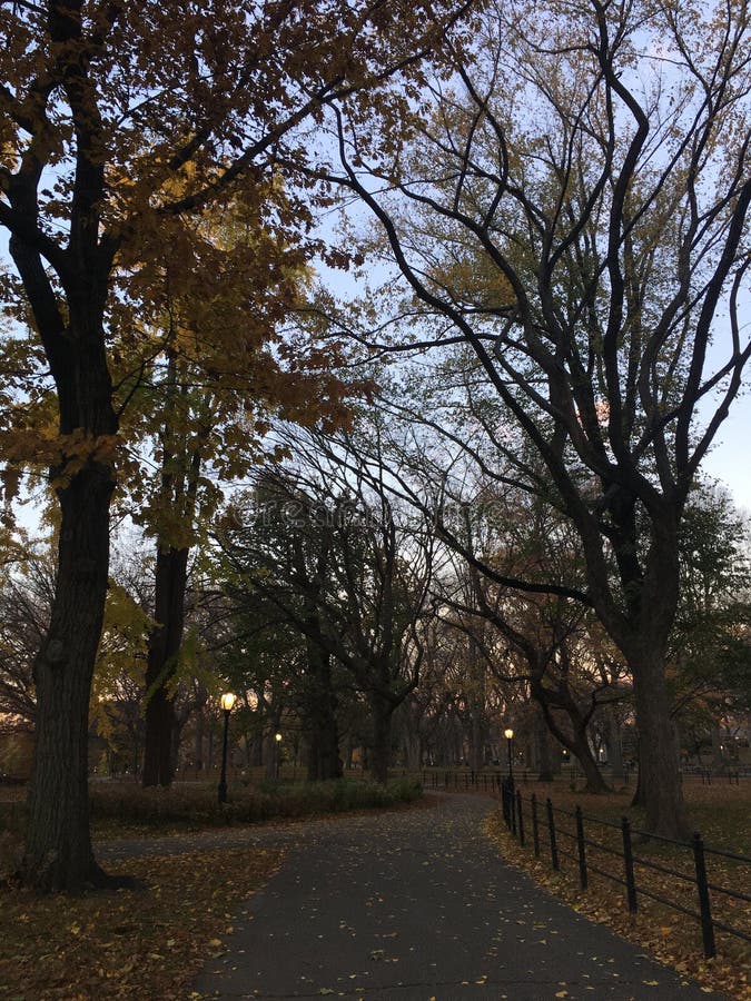 Sunset in November at Central Park in Manhattan, New York, NY. Stock ...