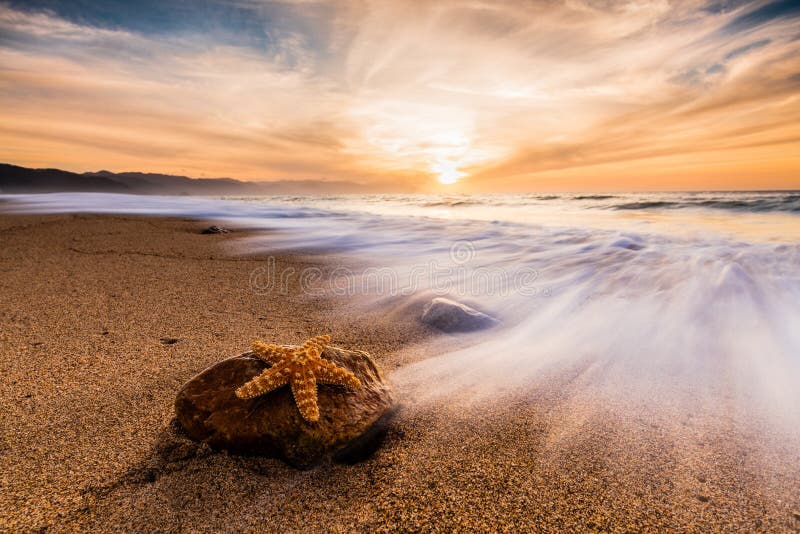 Sunset Ocean Starfish stock photo. Image of starfish - 209950182