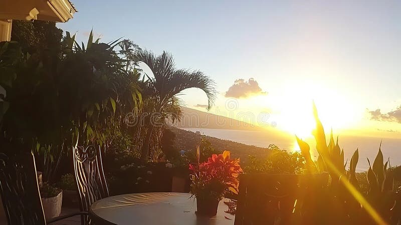 Sunset Ocean View Patio Tropical Plants Dinner Stock Image - Image of ...