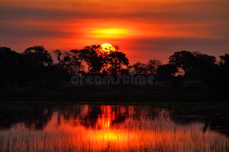 Sunset in the Okavango Delta at Sunset, Botswana Stock Photo - Image of ...