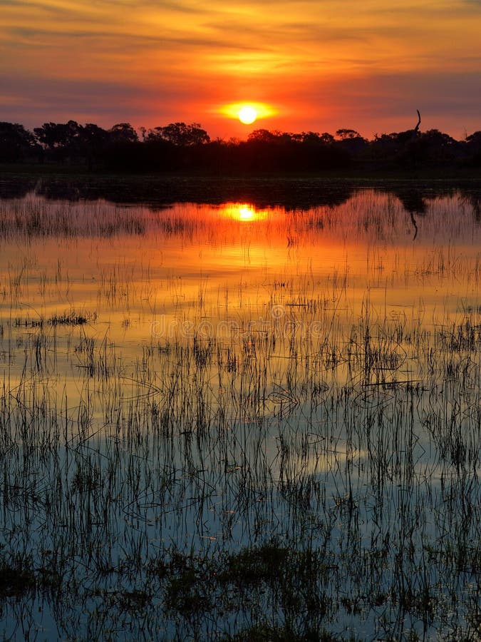 Sunset in the Okavango Delta at Sunset, Botswana Stock Image - Image of ...