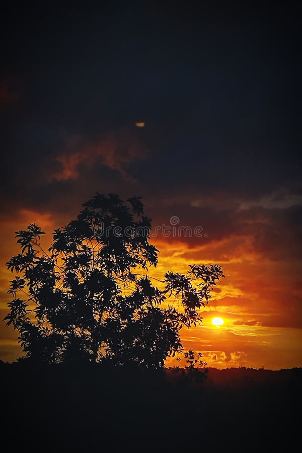 Sunset is One of the Greatest Stock Photo - Image of sunset, tree ...