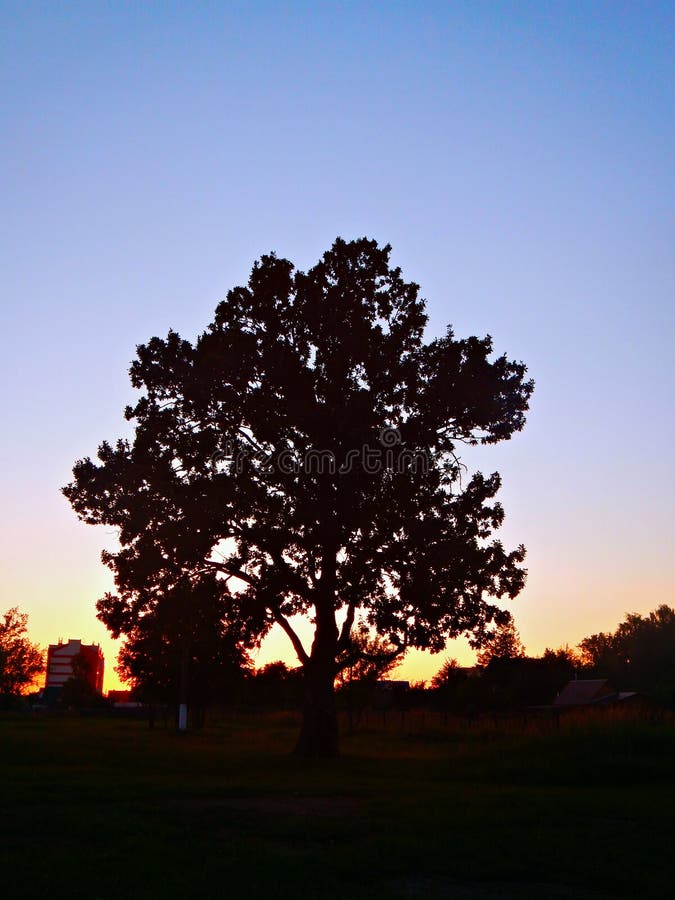 Sunset stock image. Image of beautiful, nature, thesun - 97675809