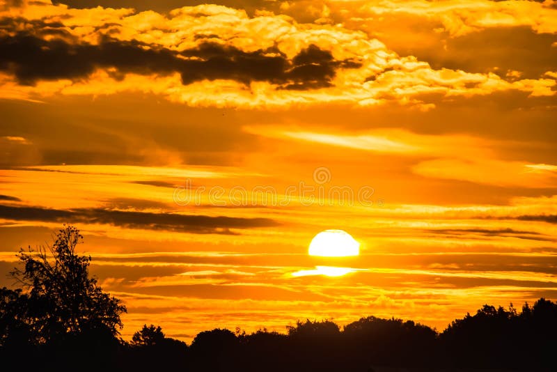 Sunset In Orange Skies Over Tree Tops Picture. Image: 95476836