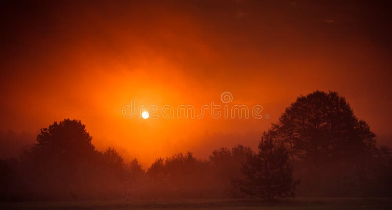 Sun Over Horizon Woods or Forest with Orange Sunset Sky. Natural Colors ...