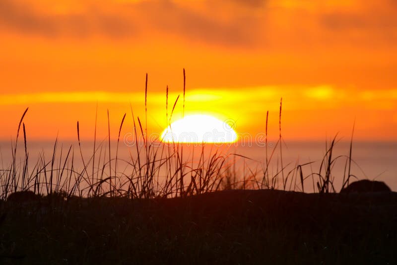 Sunset on the Oregon Coast on a Summer Evening Stock Photo - Image of ...