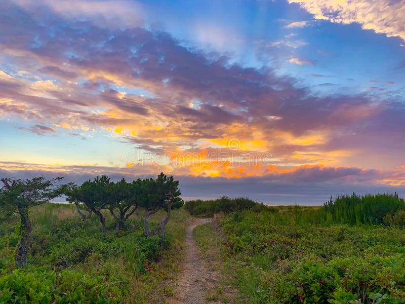 Sunset on the Oregon Coast on a Summer Evening Stock Image - Image of ...