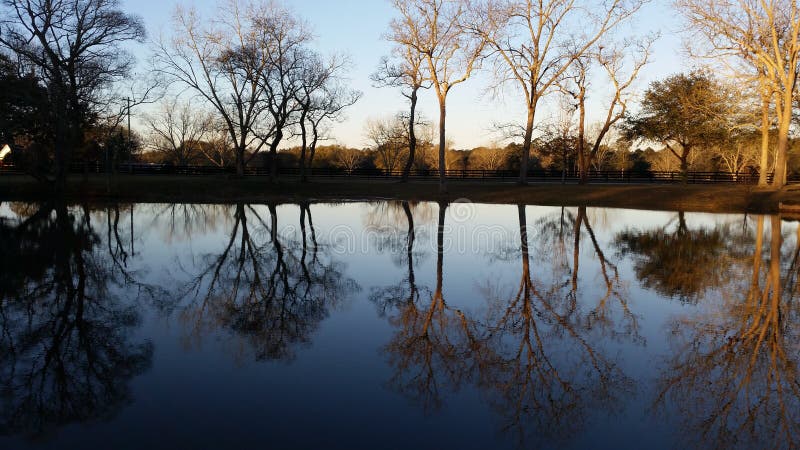Sunset on our pond stock image. Image of branch, nature - 84341819