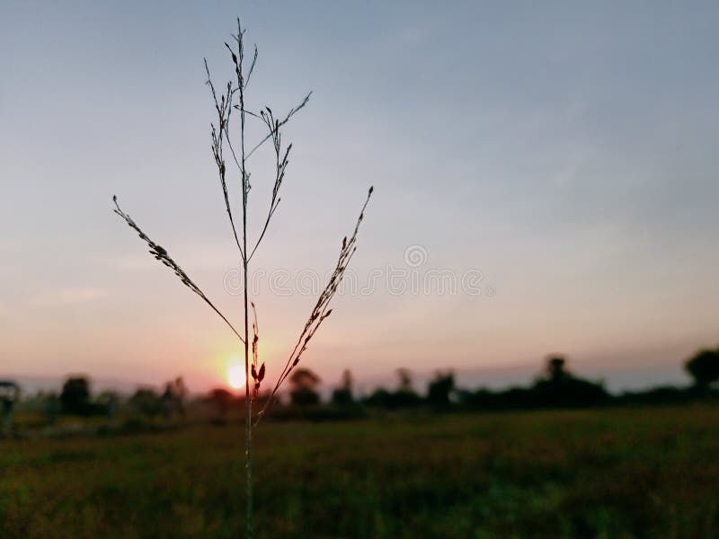Sunset outside of City stock image. Image of horizon - 205195203