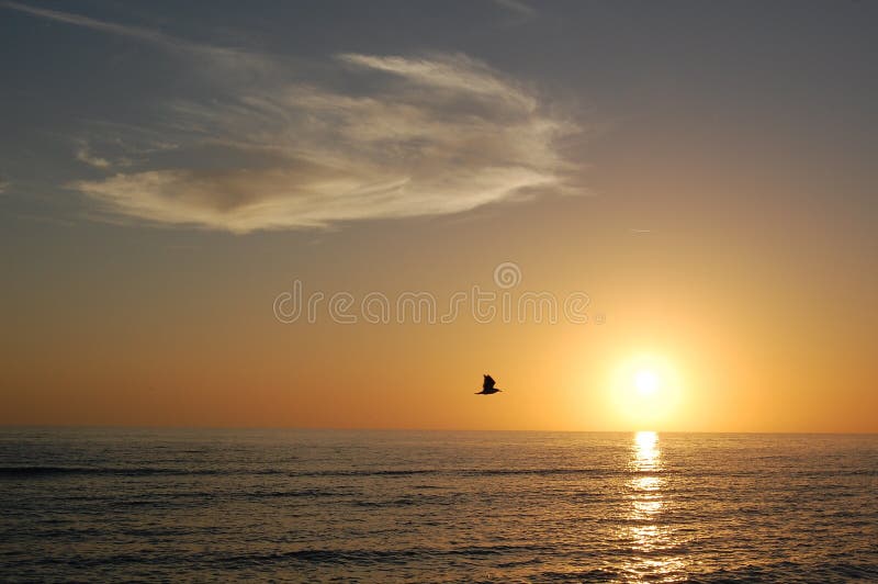 Sunset4 stock photo. Image of cloud, composition, beautiful - 522562